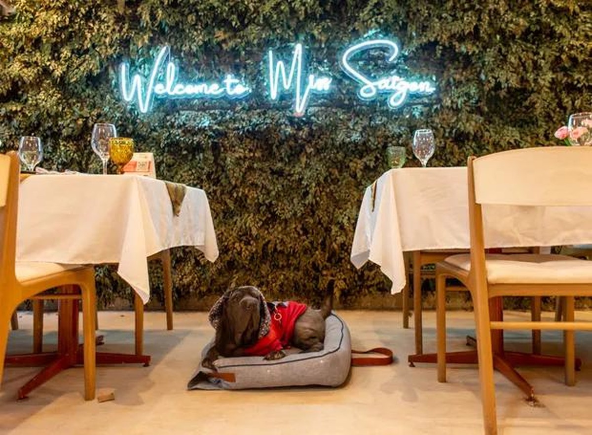 Restaurante Week nova edição tem 42 estabelecimentos pet friendly