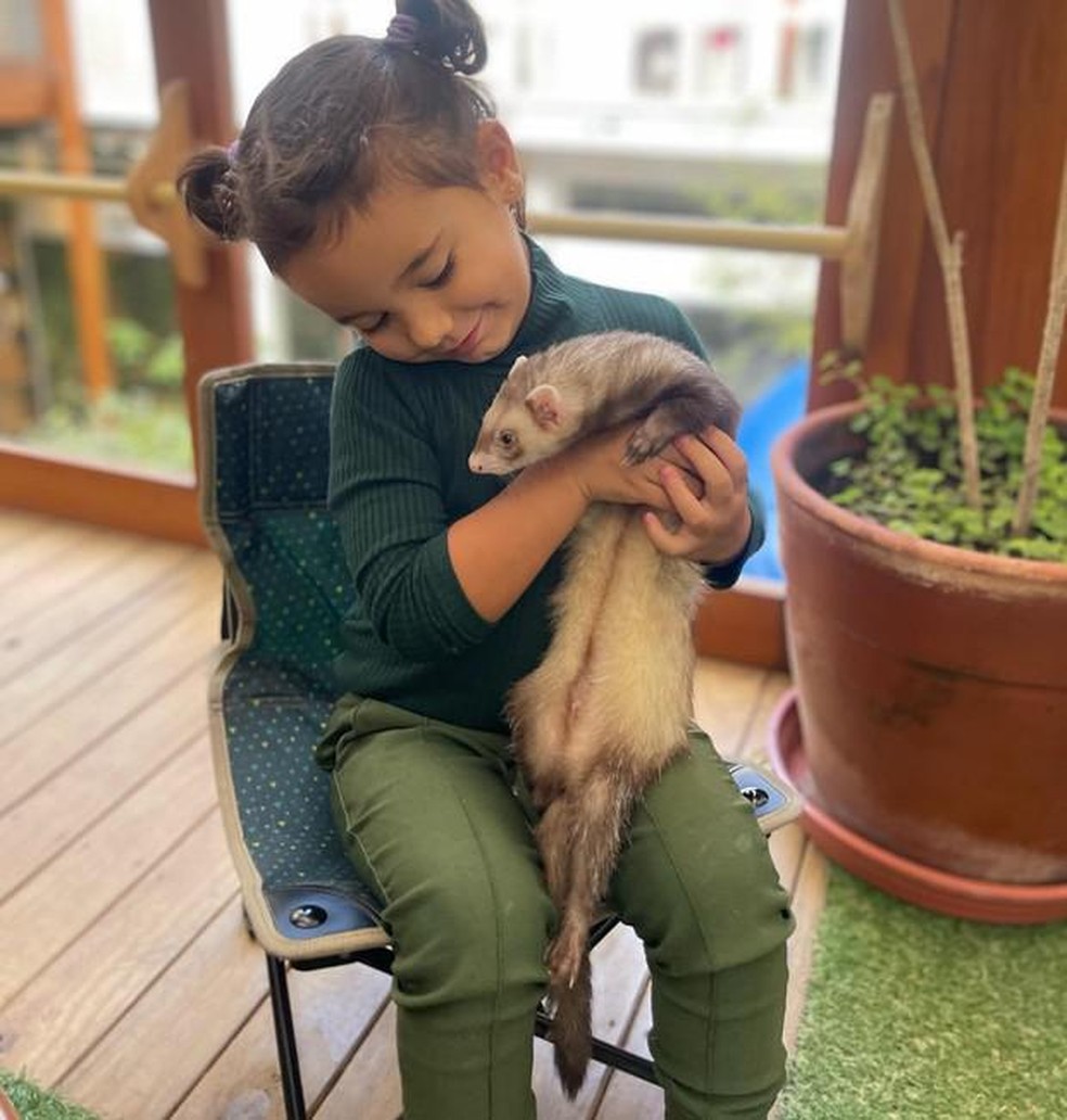 Tici Pinheiro mostra caçula acariciando diversos tipos de animais ...