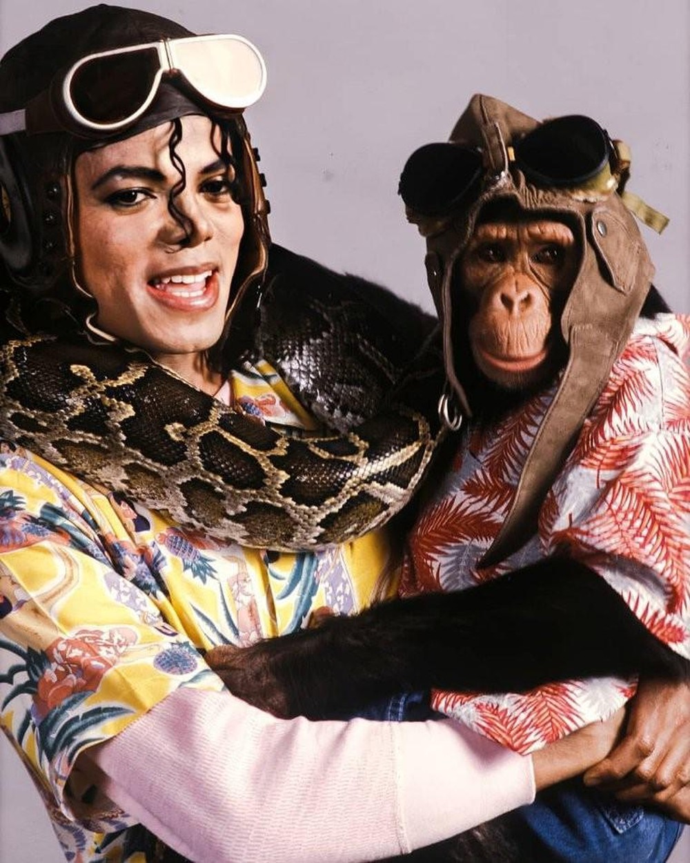 De atores a astronautas, relembre 8 macacos famosos | Comportamento ...