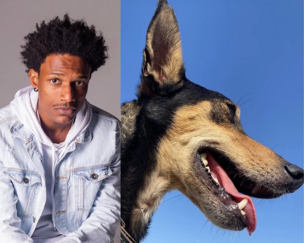 BBB 22: conheça os pets dos participantes | Comportamento | Vida de Bicho