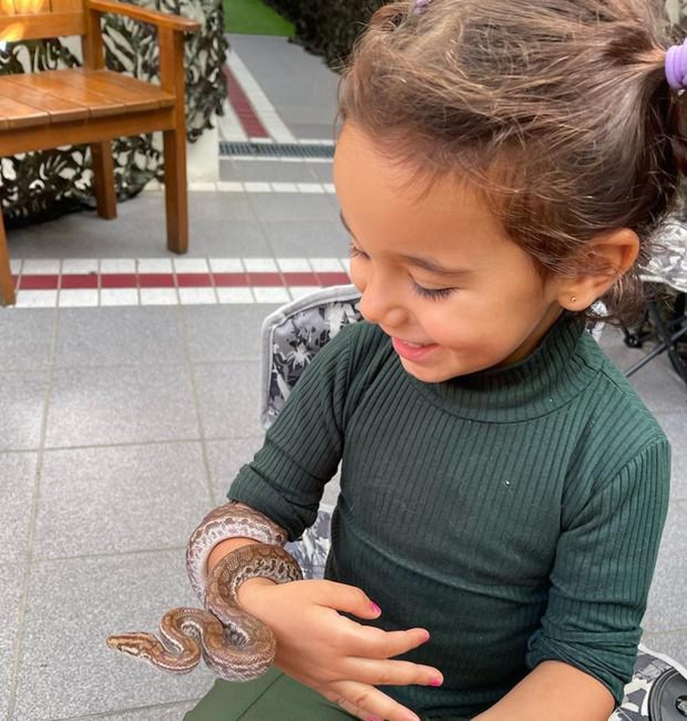 Tici Pinheiro mostra caçula acariciando diversos tipos de animais ...