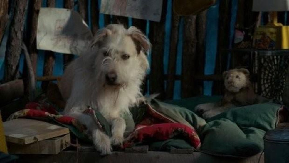Stranger Things: 6 criaturas que são ou se parecem com animais reais ...