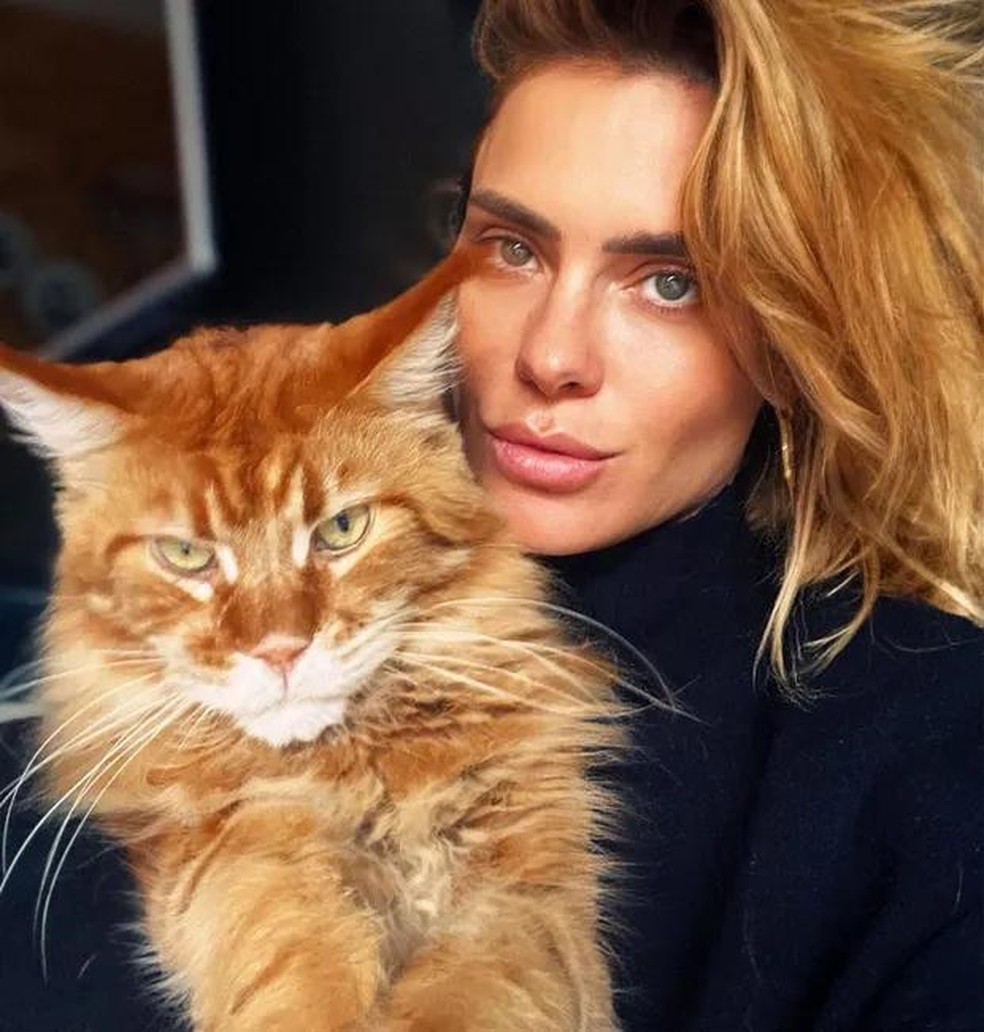 Carolina Dieckmann compartilha sessão de fotos com o gato e dupla ...