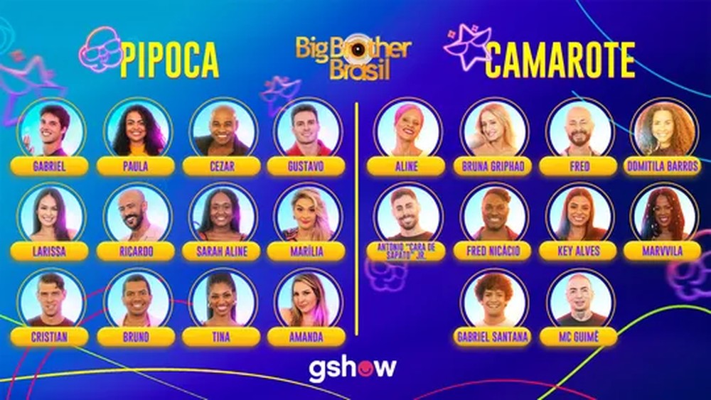 Big Brother Brasil 23: conheça os pets dos participantes ...