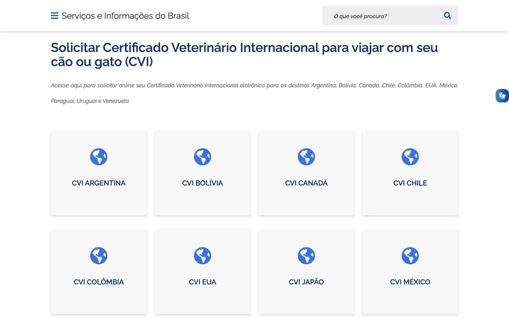 Certificado veterinário internacional (CVI): como emitir o documento | Comportamento | Vida de Bicho
