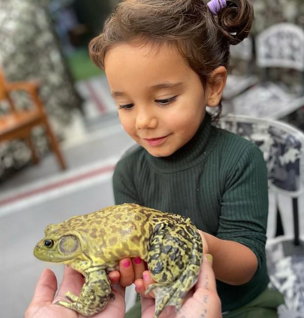 Tici Pinheiro mostra caçula acariciando diversos tipos de animais ...