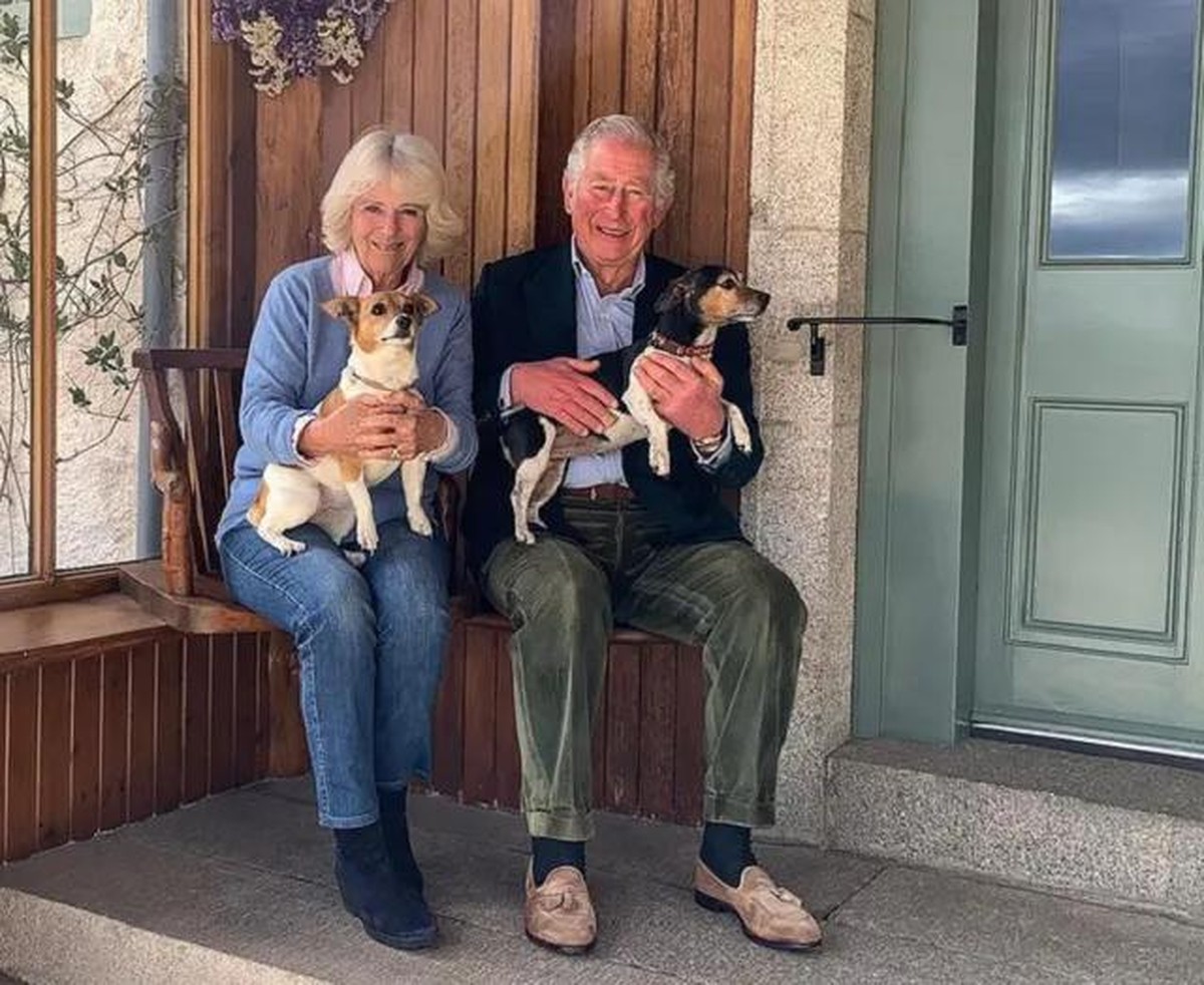 Família real: conheça as novas pets do Palácio de Buckingham ...