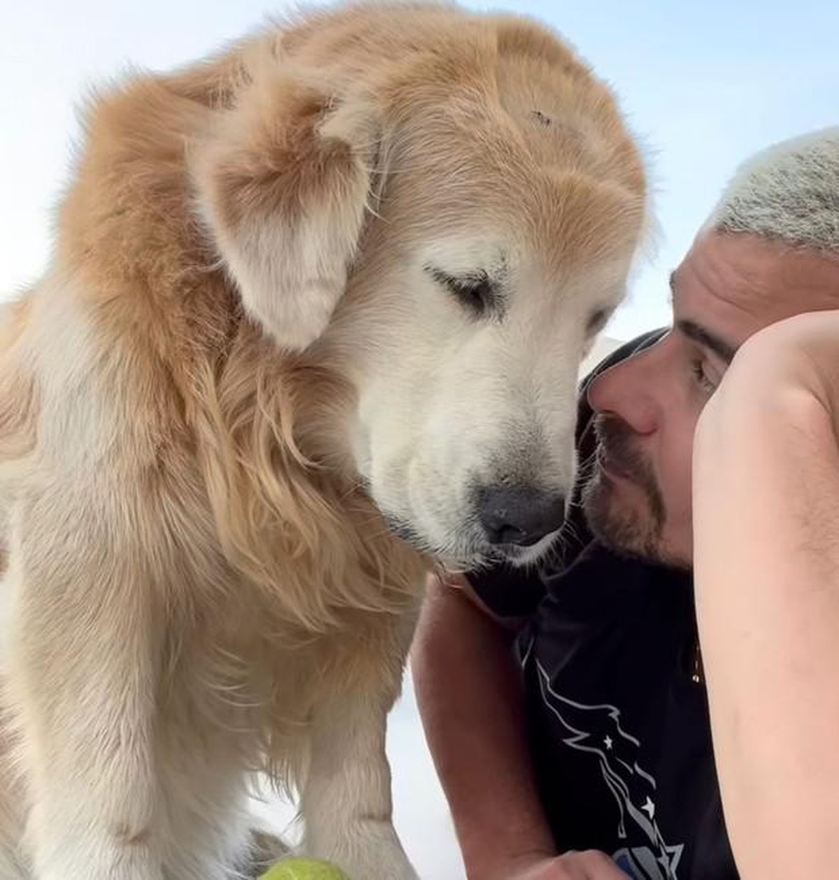 Thiago Martins compartilha momento de puro amor e carinho com seu ...