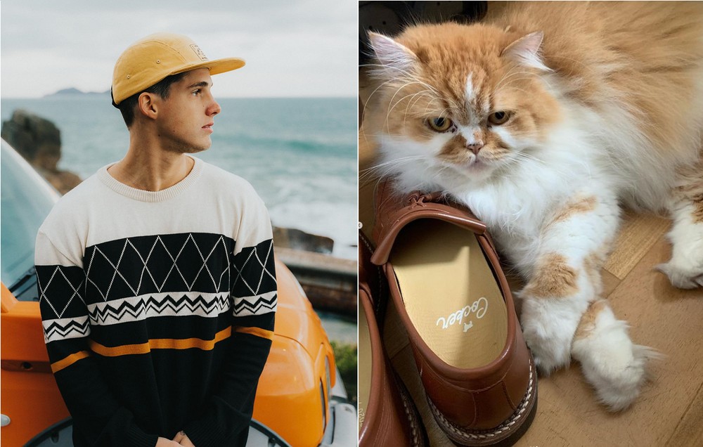 BBB 23: os participantes da Casa de Vidro têm um amor em comum ...