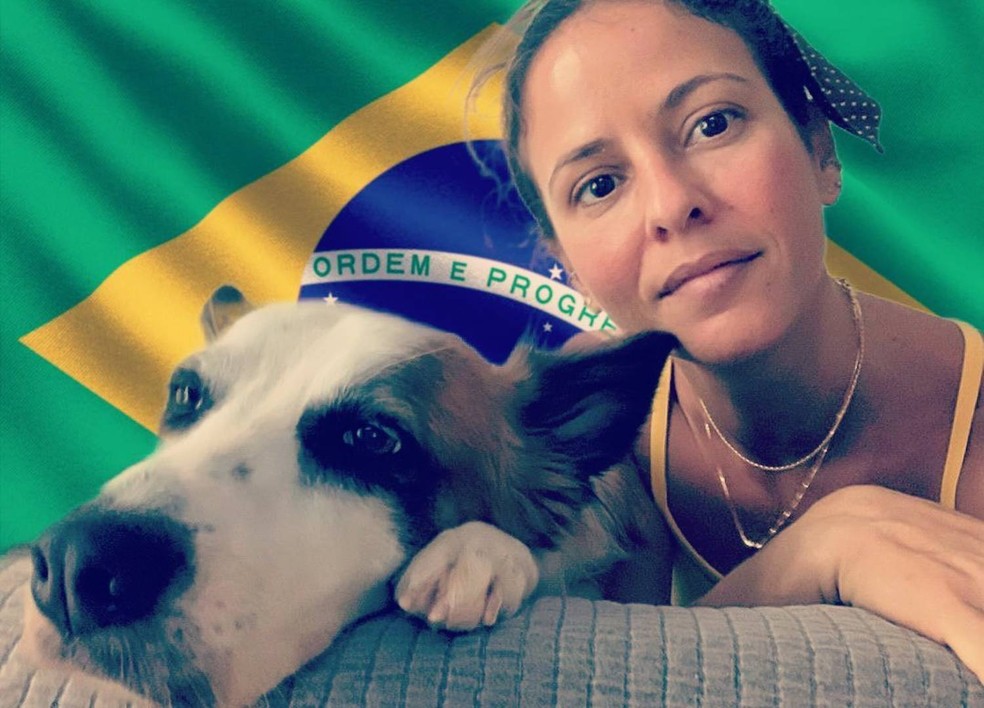 Copa do Mundo: pets dos famosos que também estão torcendo pela Seleção ...