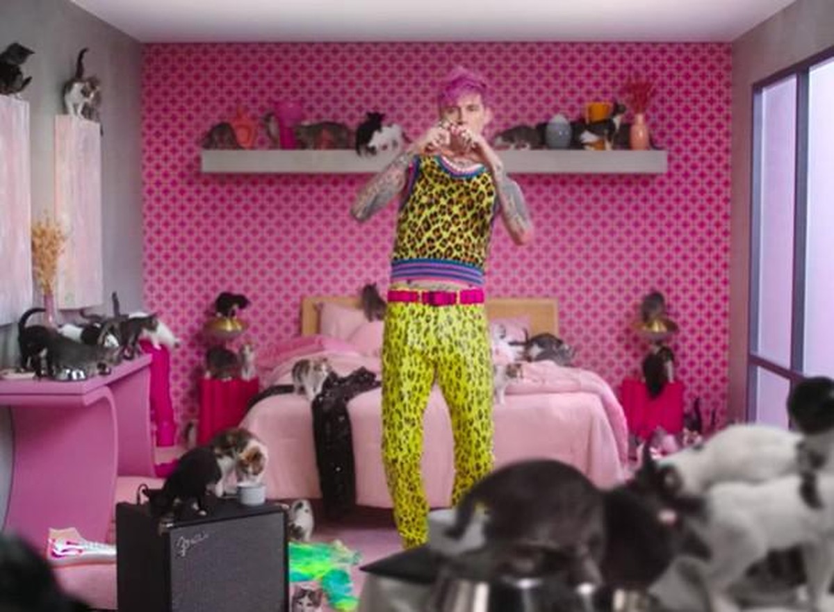 Machine Gun Kelly reúne muitos gatos em novo videoclipe | Comportamento ...