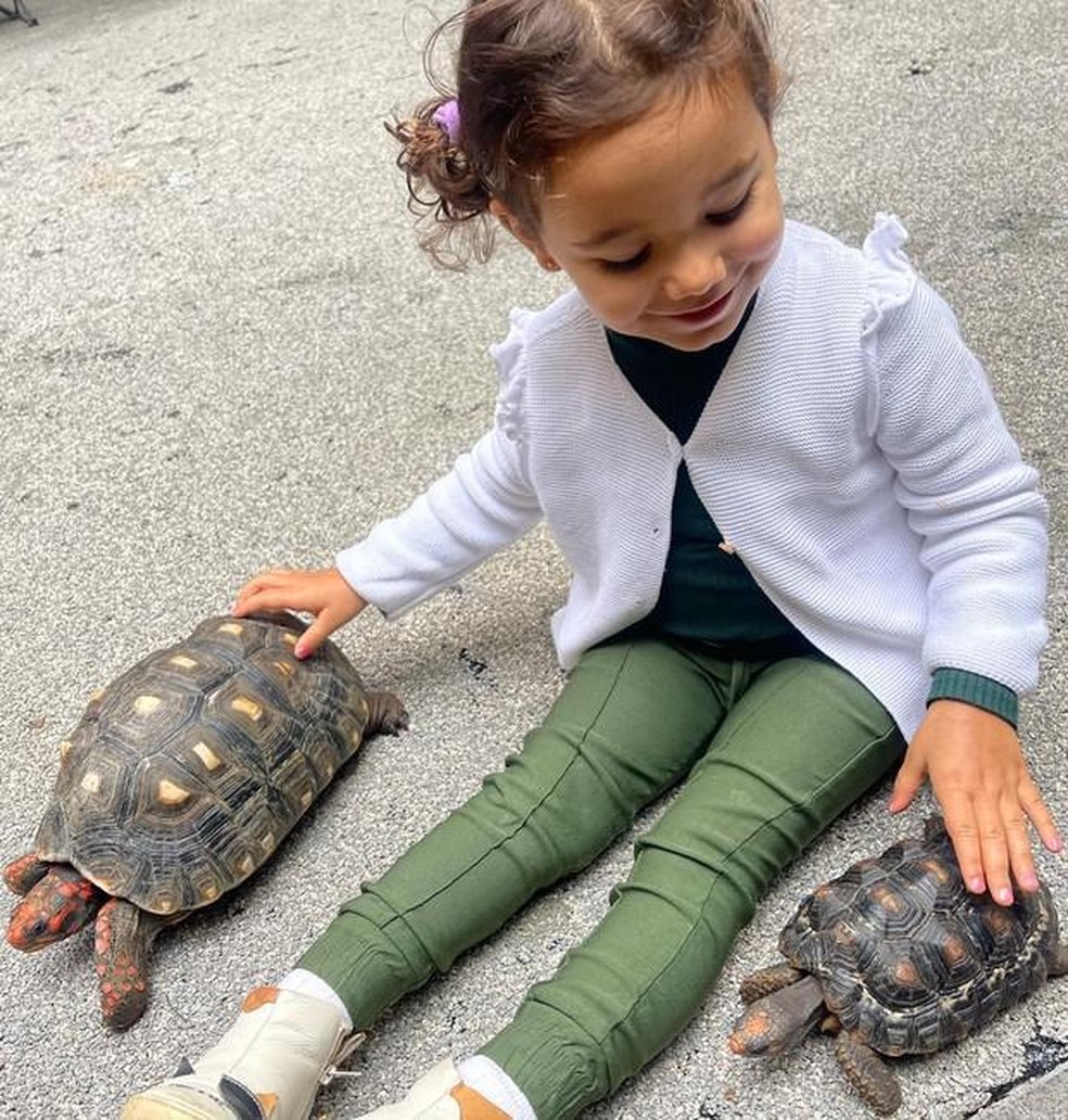 Tici Pinheiro mostra caçula acariciando diversos tipos de animais ...