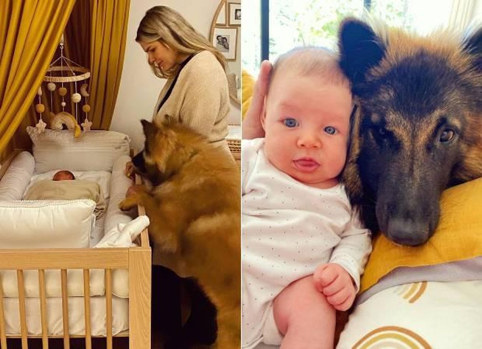 Julia Faria sobre a filha conviver com o cachorro: "Só traz coisa boa ...