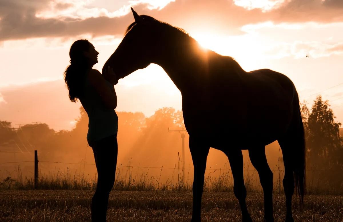 Equoterapia: como funciona a terapia com cavalos e quando ela é ...