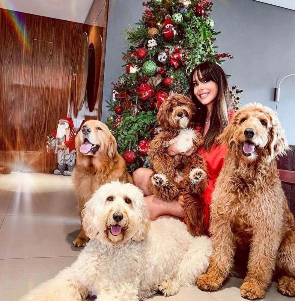Os pets dos famosos roubaram a cena nas fotos de Natal em família ...