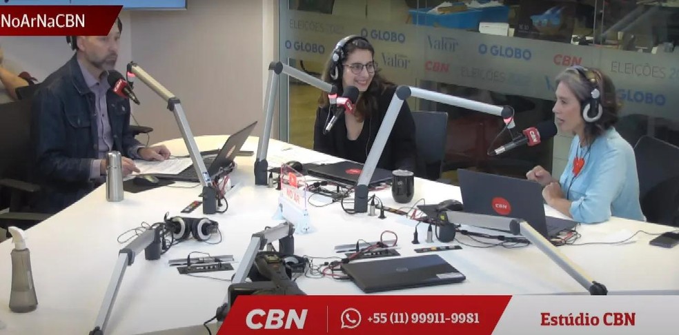 Primavera inicia período de pulgas e carrapatos; saiba como prevenir ...