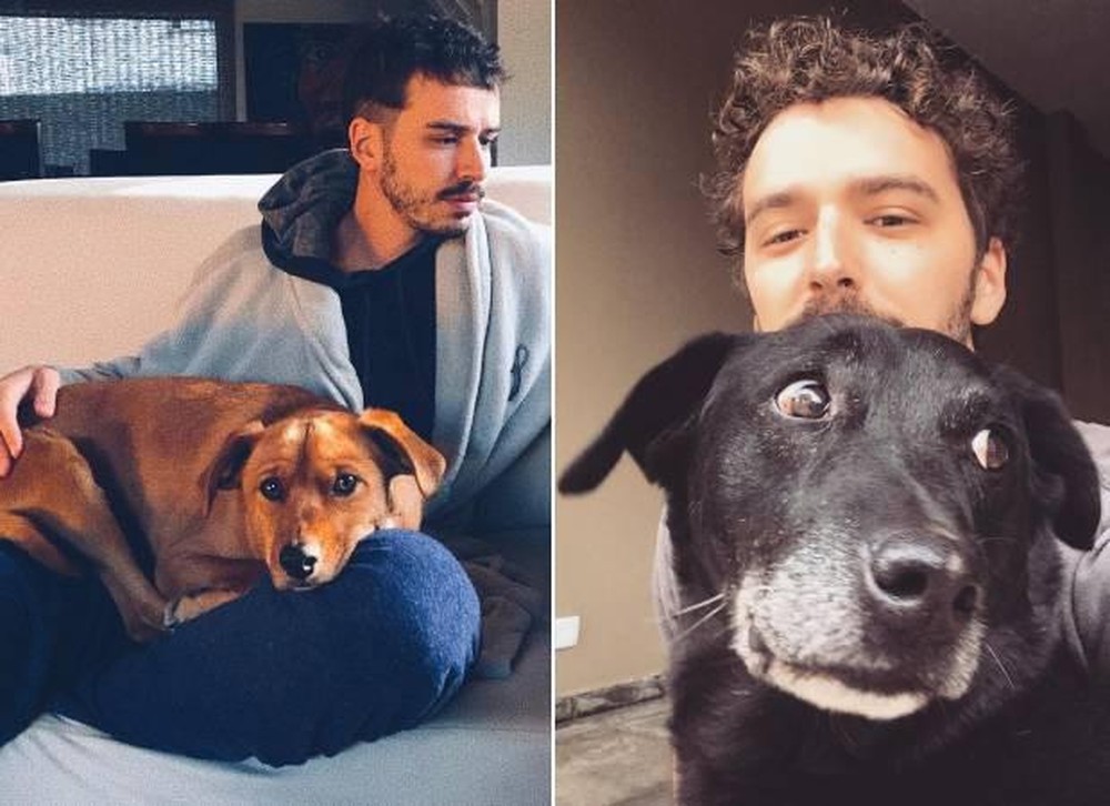 "Pantanal": conheça os pets dos atores da novela na vida real ...