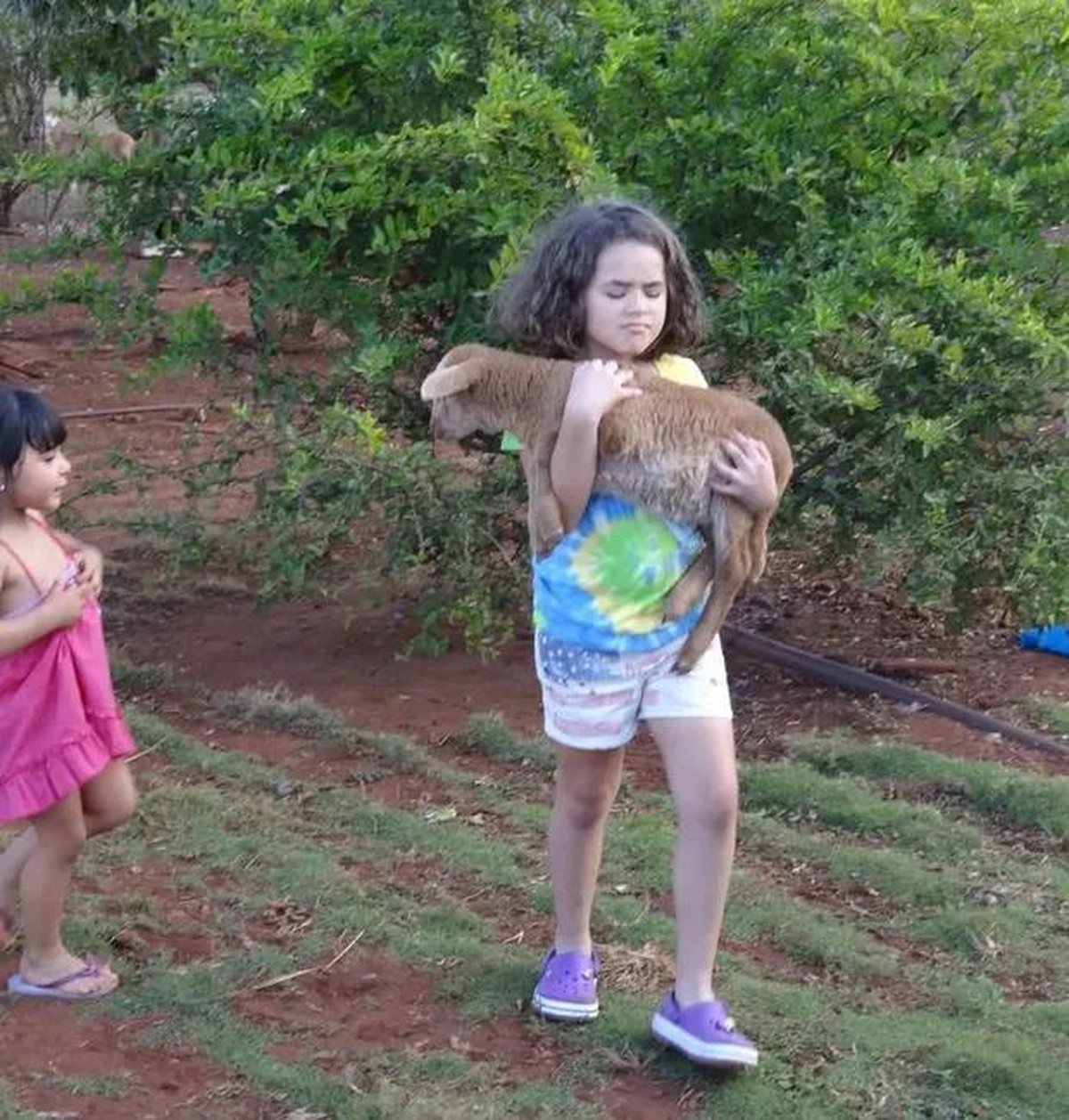 Maisa relembra momento fofo ao lado de um carneiro na infância | Comportamento | Vida de Bicho