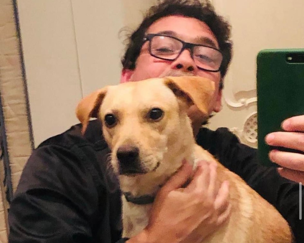 Terra e Paixão: conheça os pets do elenco da nova novela das nove ...
