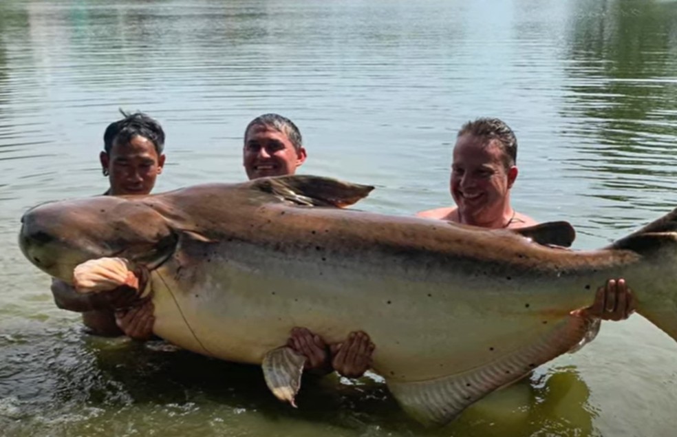 Peixe Mais Raro Do Mundo De Agua Doce Peixe Raro é Descoberto Na