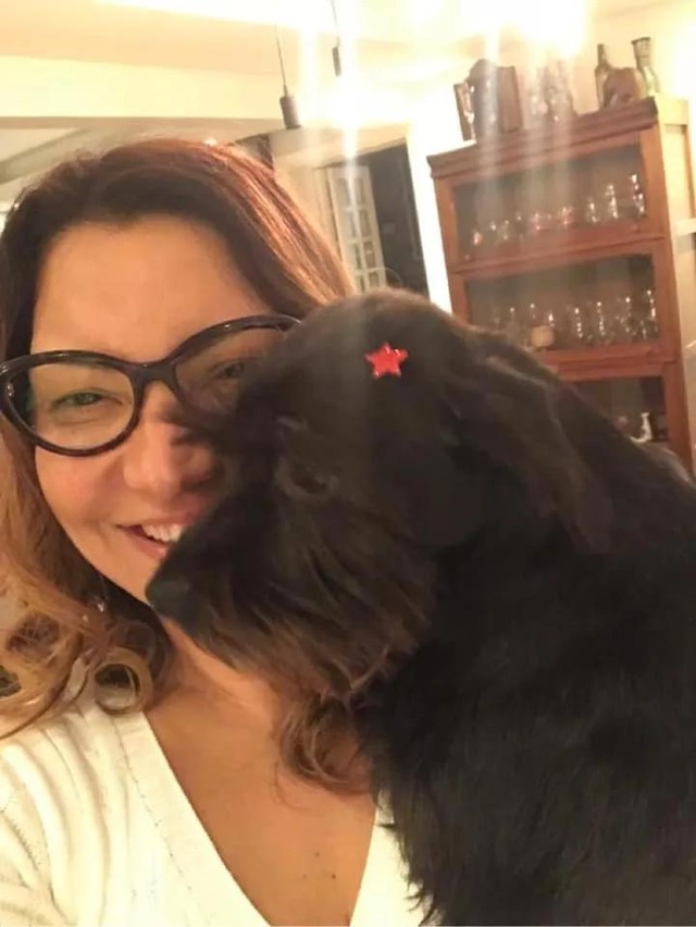 Conheça Resistência, pet de Lula que será a embaixadora canina da ...