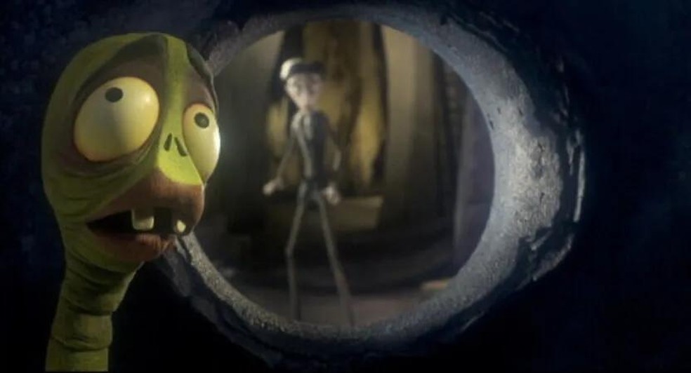 Vida após a morte: entenda o papel dos insetos que decompõem cadáveres ...