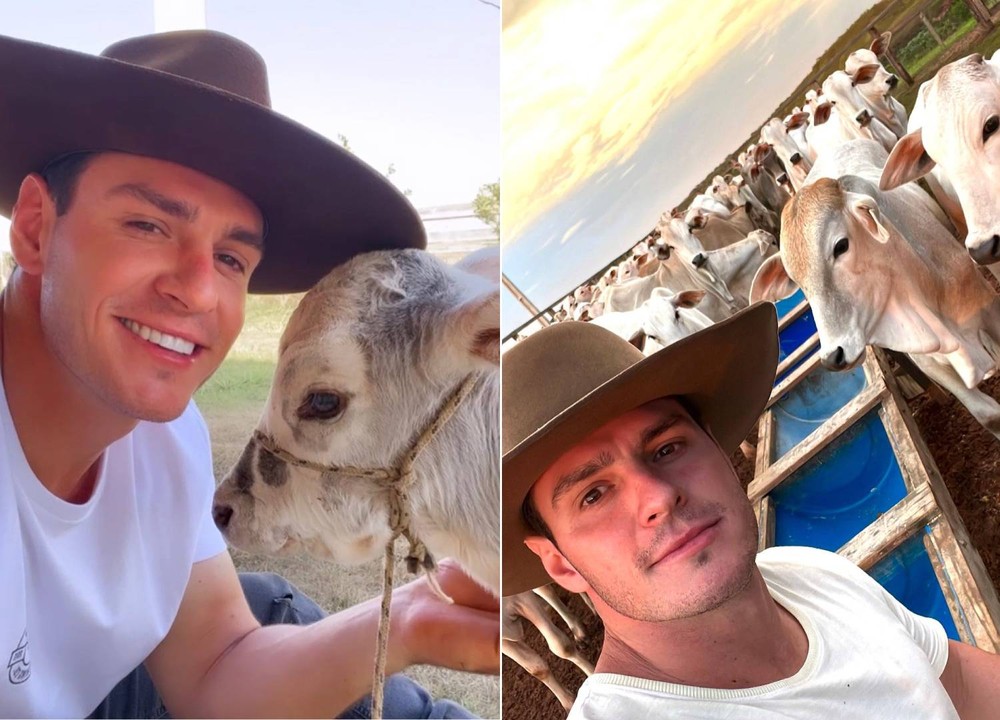 Para Gustavo, do BBB 23, é importante 'pretendentes gostarem de bichos ...